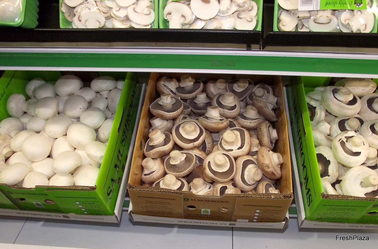 South Australian Produce Market Tour - May 2021