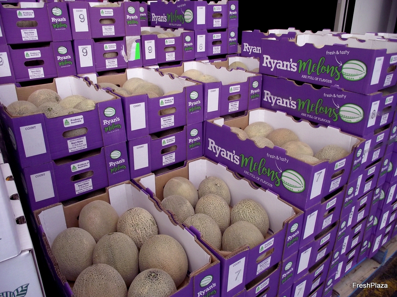 South Australian Produce Market Tour - May 2021