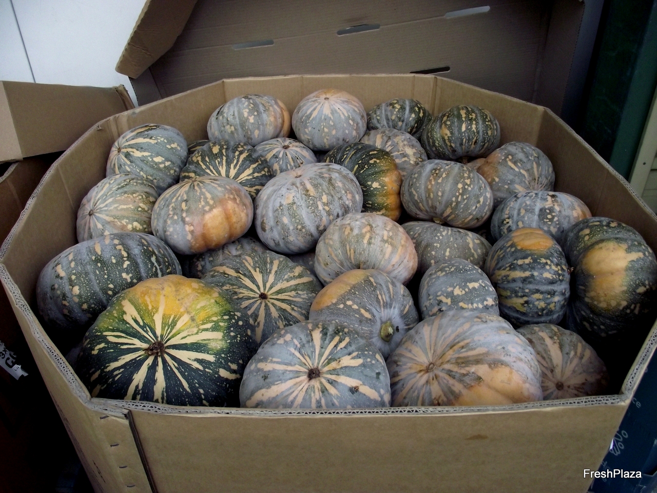 South Australian Produce Market Tour - May 2021