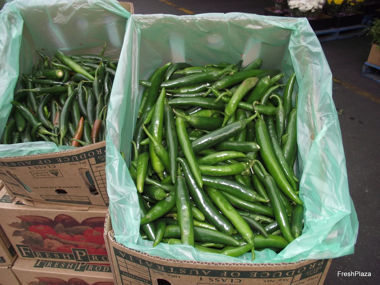 South Australian Produce Market Tour - May 2021